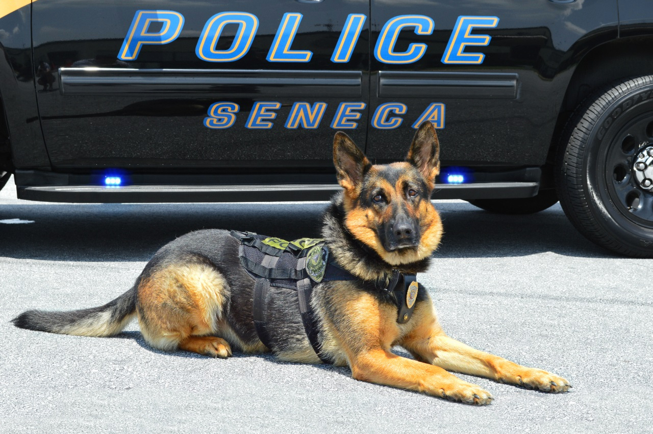 Oconee County – SCPoliceCruisers