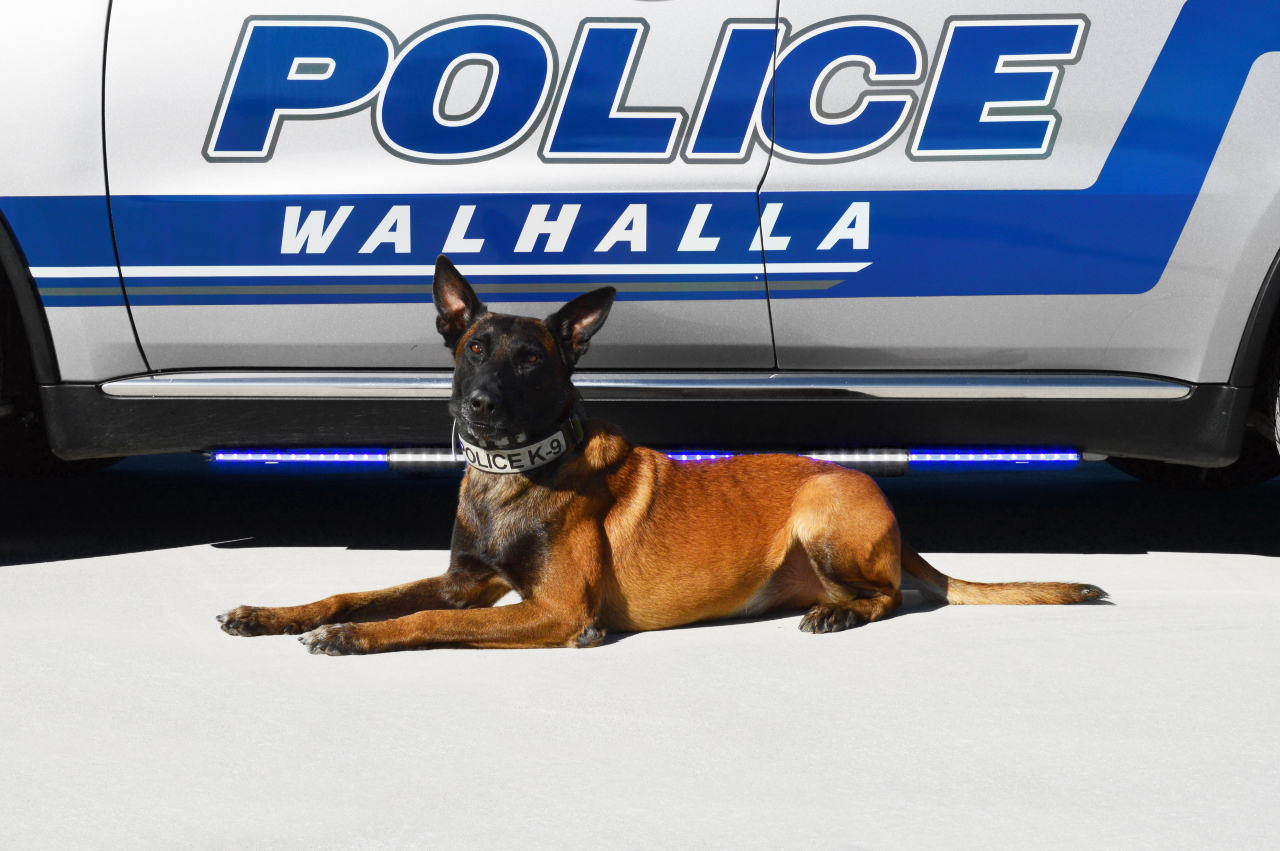 Oconee County – SCPoliceCruisers