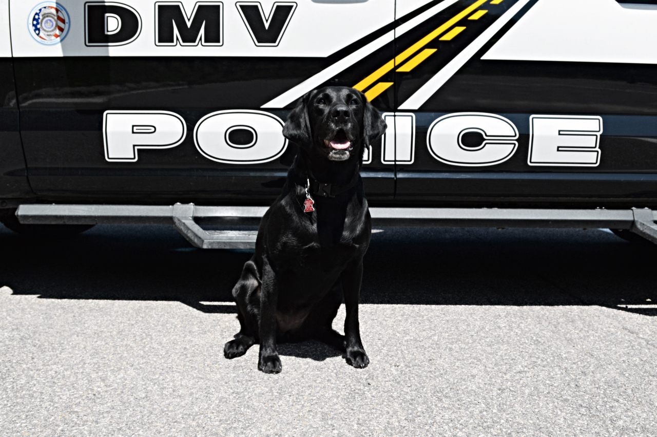 Vermont Law Enforcement Agencies – SCPoliceCruisers